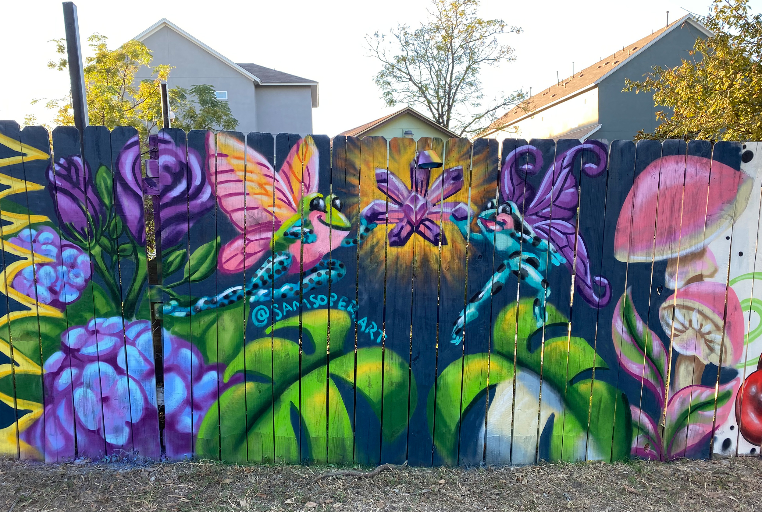 Fae Frog Royalty Mural at Ani's Day & Night - Mural Art & Illustration ...