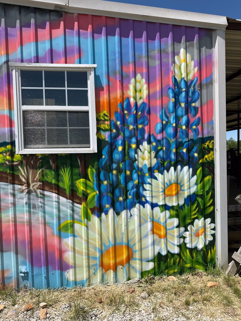 Scissor Tail Sunset Mural - Mural Art & Illustration of Sam Soper