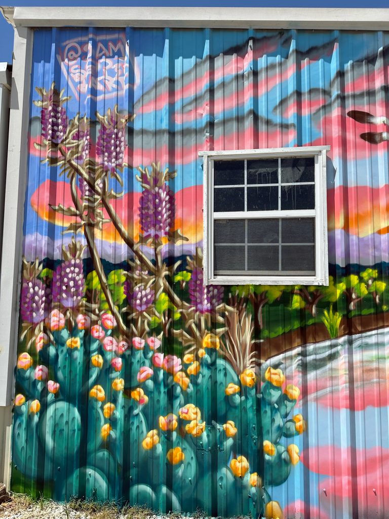 Scissor Tail Sunset Mural - Mural Art & Illustration of Sam Soper