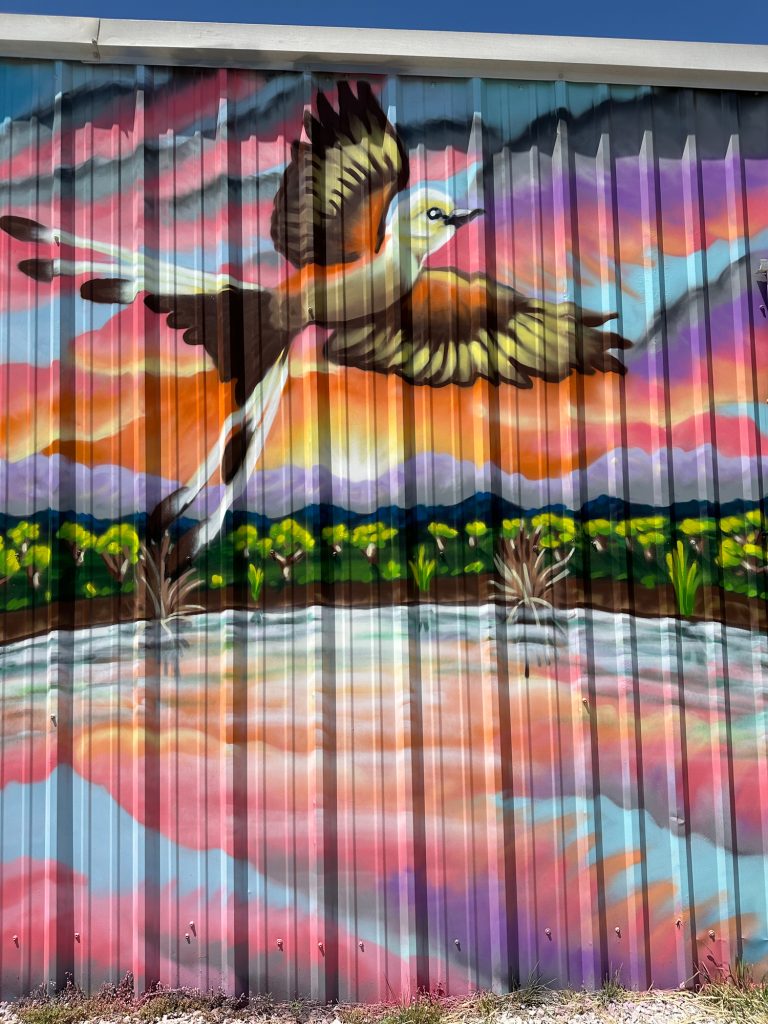 Scissor Tail Sunset Mural - Mural Art & Illustration of Sam Soper