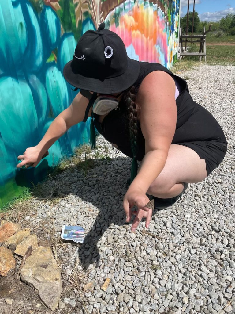 Scissor Tail Sunset Mural - Mural Art & Illustration of Sam Soper