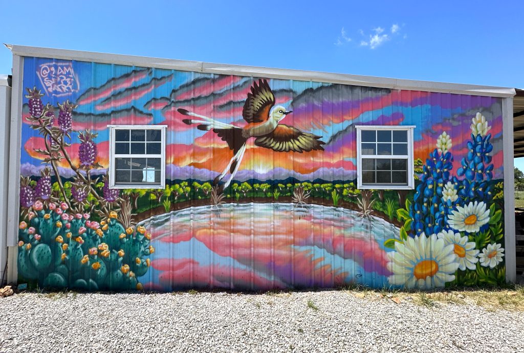 Scissor Tail Sunset Mural - Mural Art & Illustration of Sam Soper