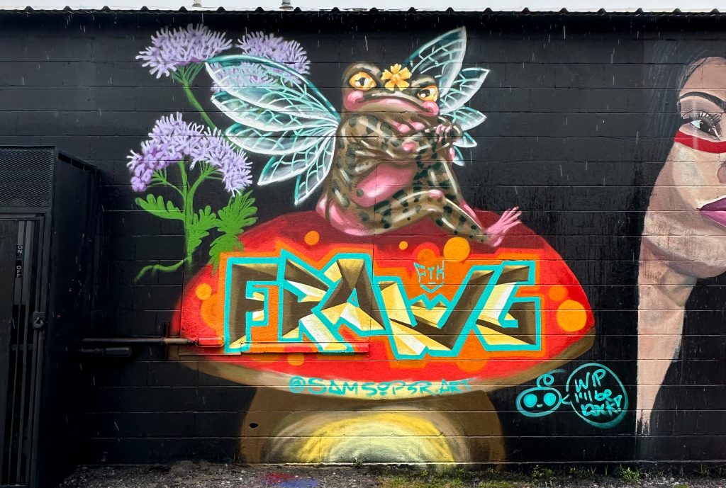 Texas Fae-Toad at She Unit 2023 - Mural Art & Illustration of Sam Soper
